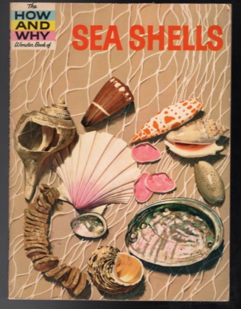 How and Why: Wonder book of Sea Shells